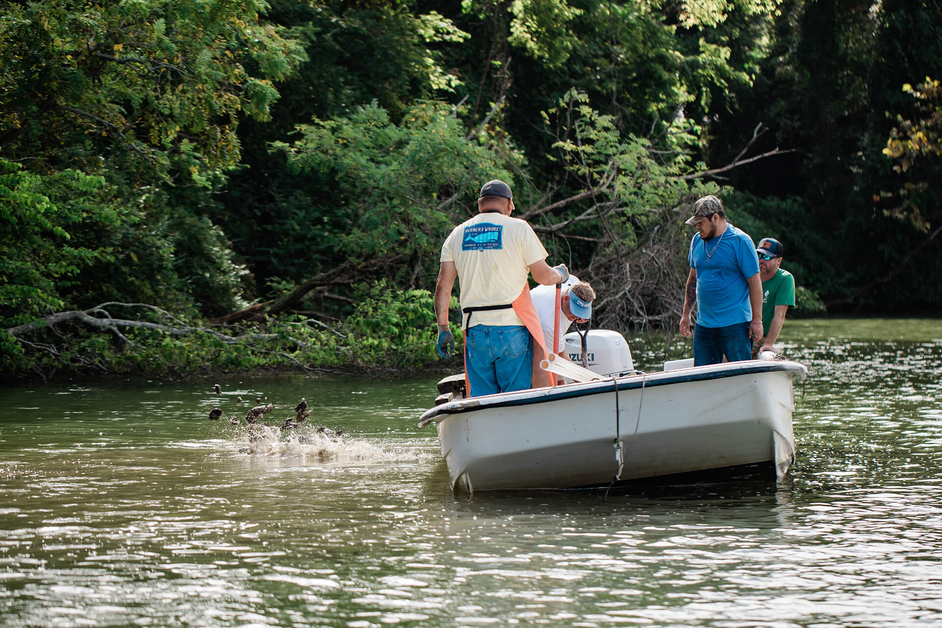 ACRE Launches Oyster Carbon Project, Restoring the Chesapeake Bay ...
